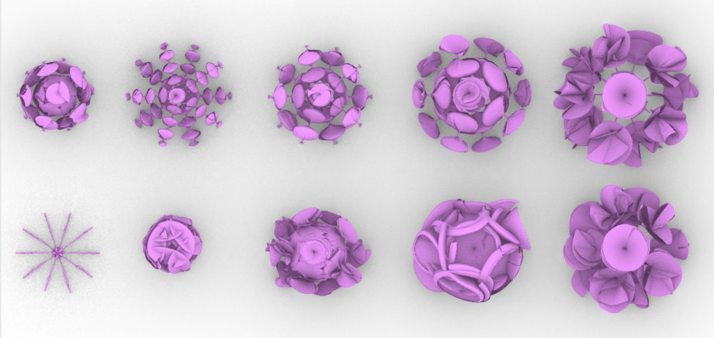 MORPHOSIS - RECURSIVE GROWTH – IAAC Blog