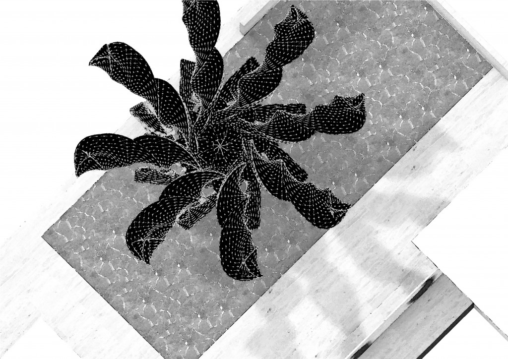 RECURSIVE GROWTH - CREATURES OF THE SEA – IAAC Blog