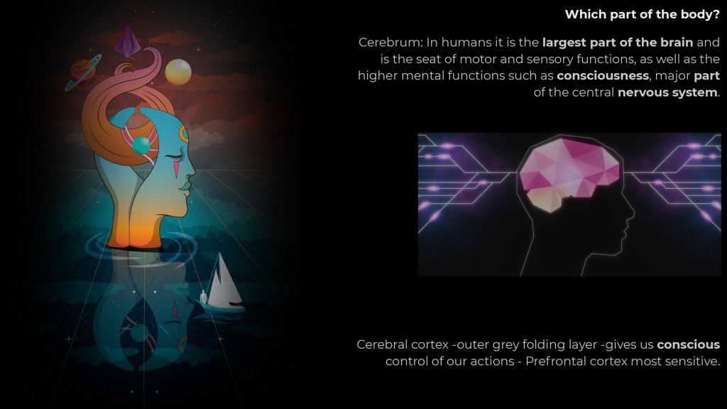 Transfer of Consciousness / Atyantha – IAAC Blog