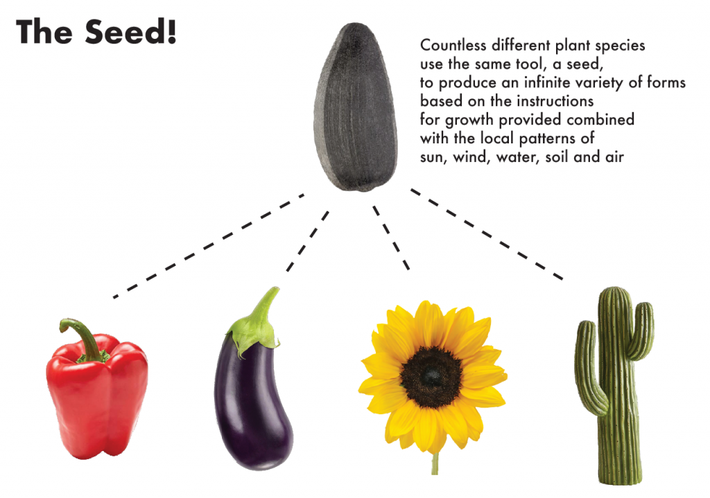 The SEED Ecohouse: Conceptual Phase – IAAC Blog