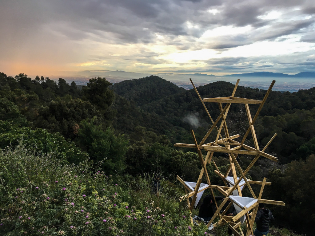 VERTICAL VINEYARD – IAAC Blog