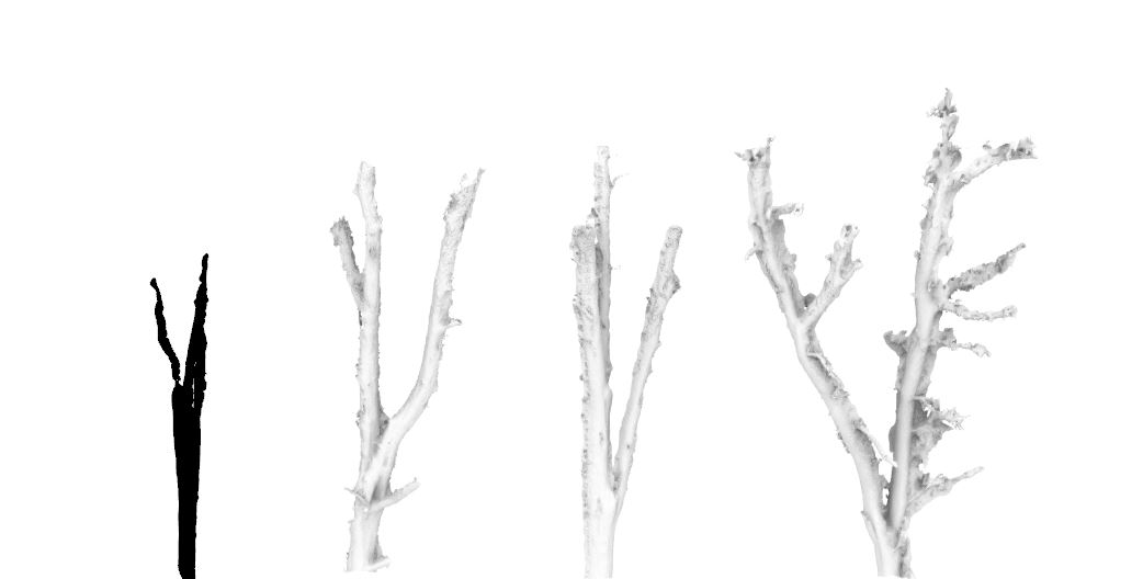 RAW NATURE: DESIGN AND CONSTRUCTION WITH UNALTERATED FOREST TREES ...