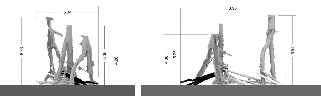 RAW NATURE: DESIGN AND CONSTRUCTION WITH UNALTERATED FOREST TREES ...