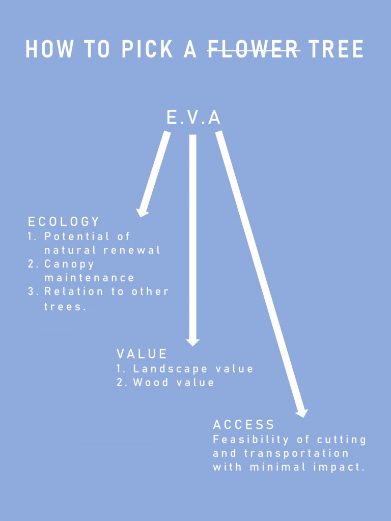 Forest Management: Selection, Assessment, and Photogrammetry