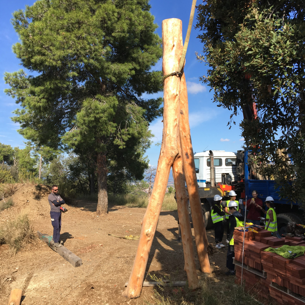 TREES IN MOTION: TO THE TEST SITE – IAAC Blog