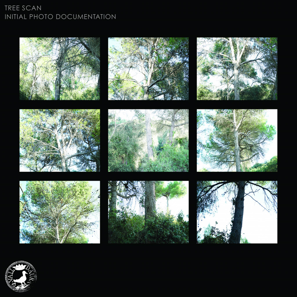 Valldaura Labs: Testing Tree Scanning With Photogrammetry – IAAC Blog