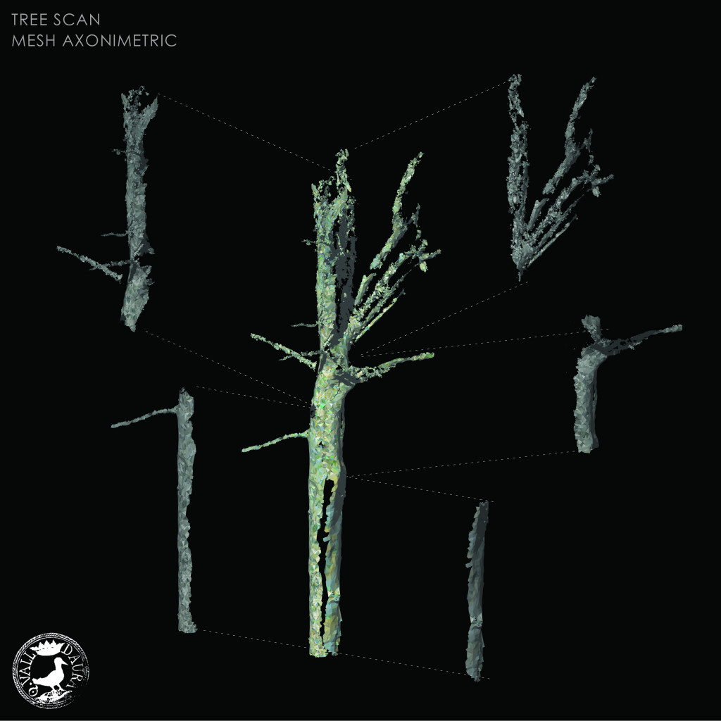 Valldaura Labs: Testing Tree Scanning With Photogrammetry – IAAC Blog