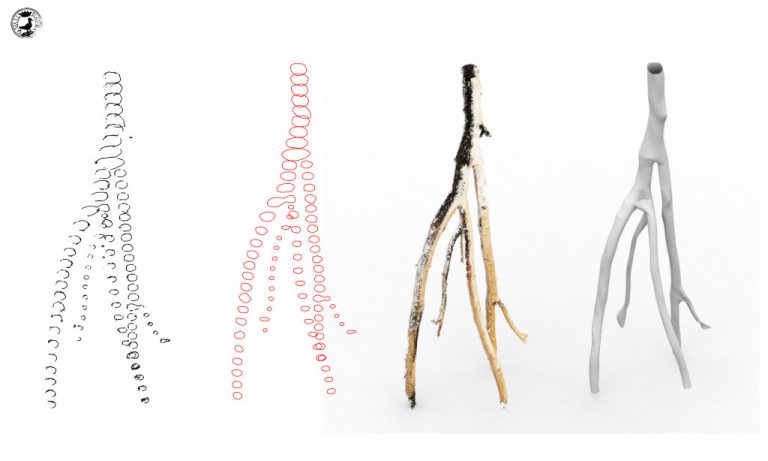 Simplifying A Tree Mesh – IAAC Blog