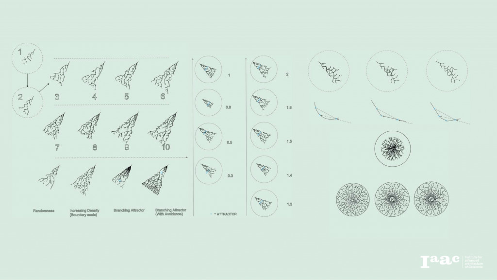 Diffusion Limited Aggregation // S.1 [Computation, Coherence ...