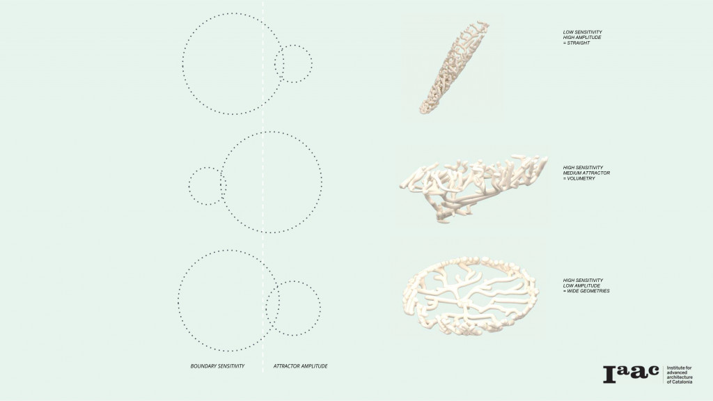 Diffusion Limited Aggregation // S.1 [Computation, Coherence ...
