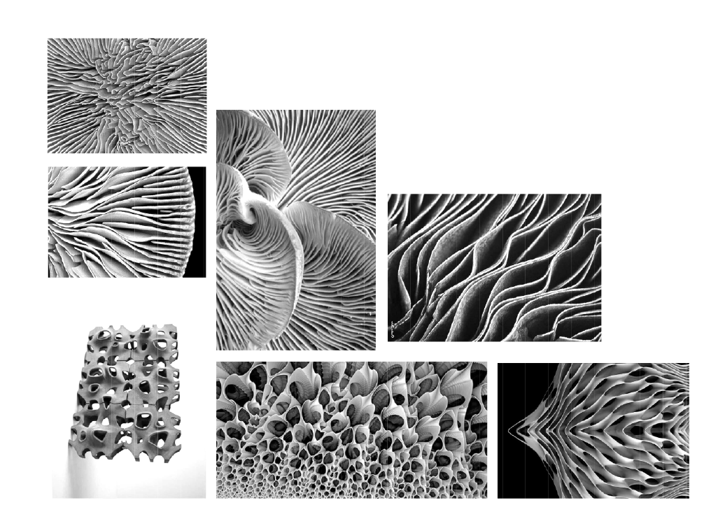 3d Printing Lines