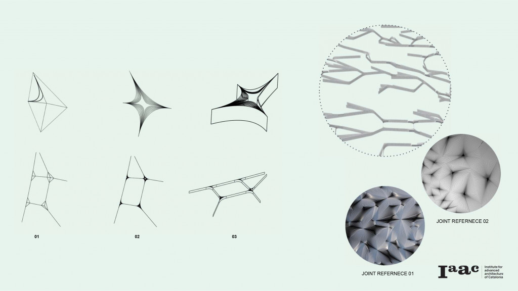 Diffusion Limited Aggregation // S.1 [Computation, Coherence ...
