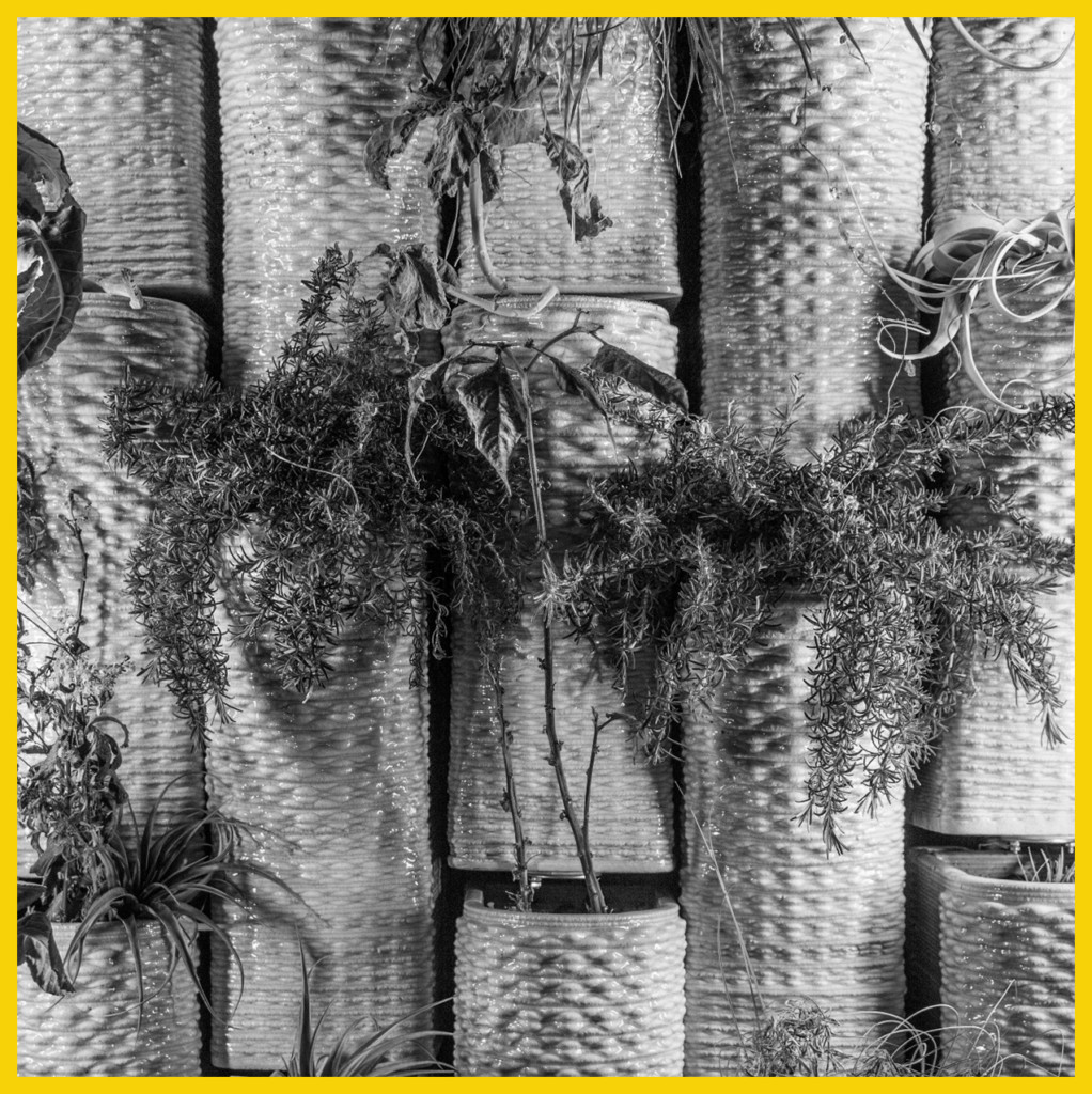 DESIGN WITH LIVING SYSTEMS - SYLLABUS & FACULTY – IAAC Blog