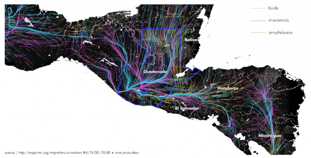 WILDLIFE FLOWS // URBAN COEXISTENCE – IAAC Blog