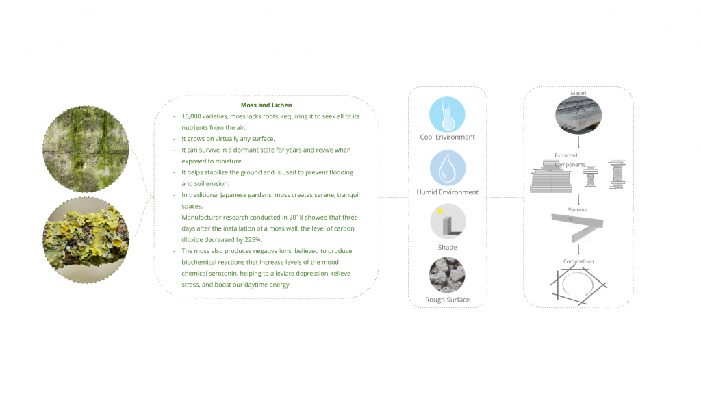 BIO-RECEPTIVE TOWER // Workshop 2.1 – IAAC Blog