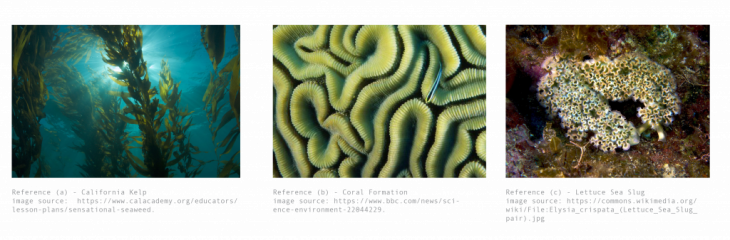 Recursive Growth - Python Exercise – IAAC Blog