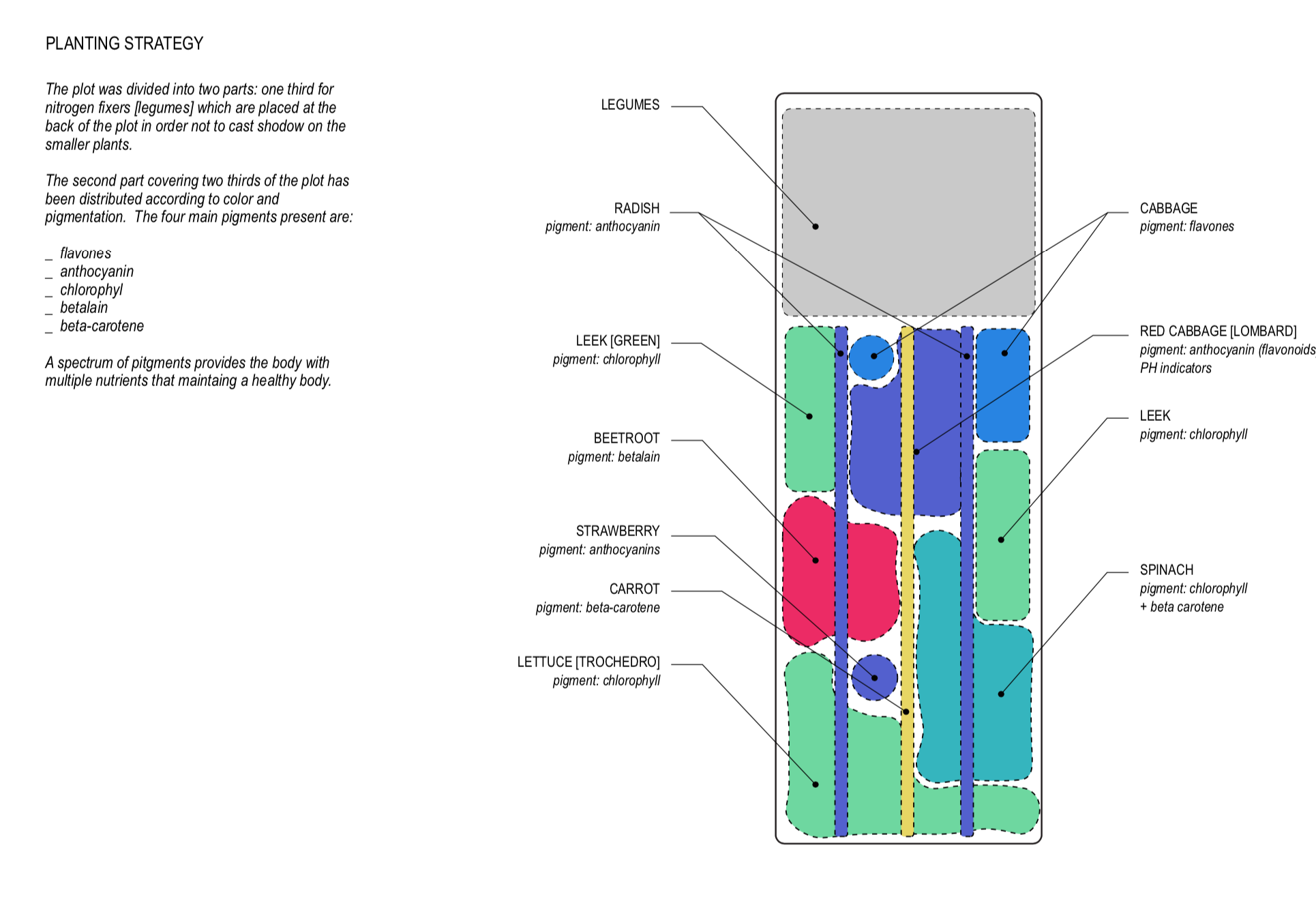 Ecological Interactions // Autumn Planting Strategy – IAAC Blog
