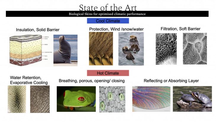 The Skin Coder [Thesis Work in Progress] – IAAC Blog