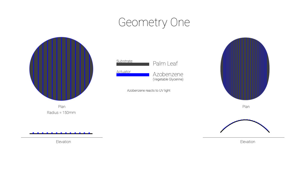 Advanced Bio Geometry - Hyperthermia – IAAC Blog
