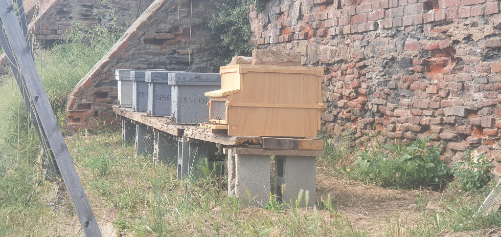 Five New Beehives Installed at Valldaura Labs! – IAAC Blog