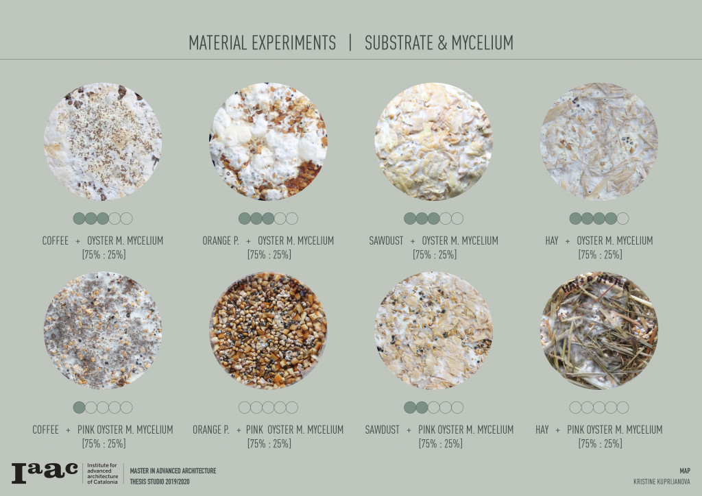 MAP | Mycelium Acoustic Panels – IAAC Blog