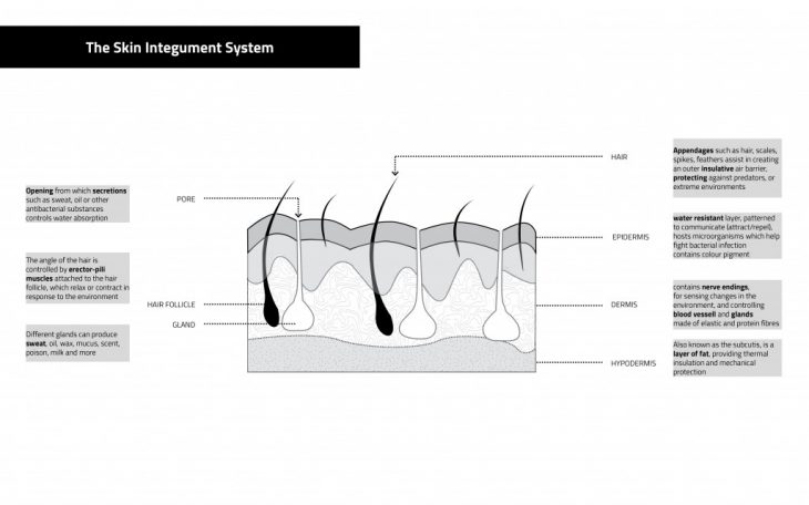 The Skin Coder - a climate adaptive facade design system – IAAC Blog