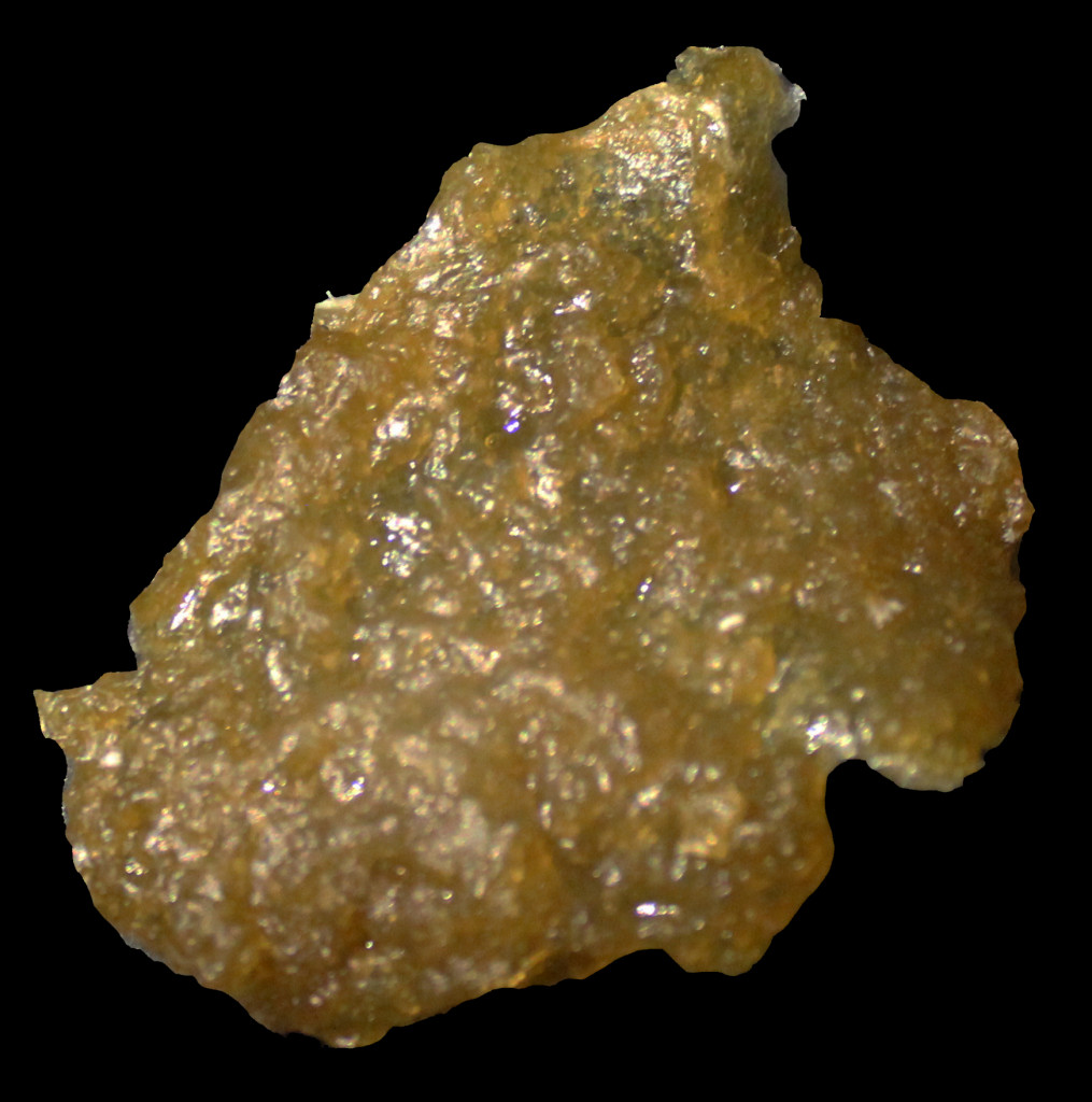 Bio-Activated Skin Membrane – IAAC Blog