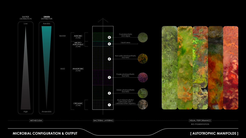 AUTOTROPHIC MANIFOLDS – IAAC Blog