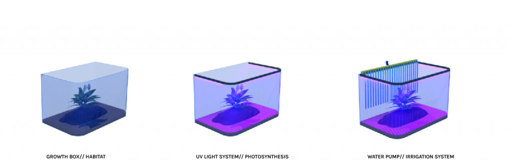 GROWTH BOX – IAAC Blog