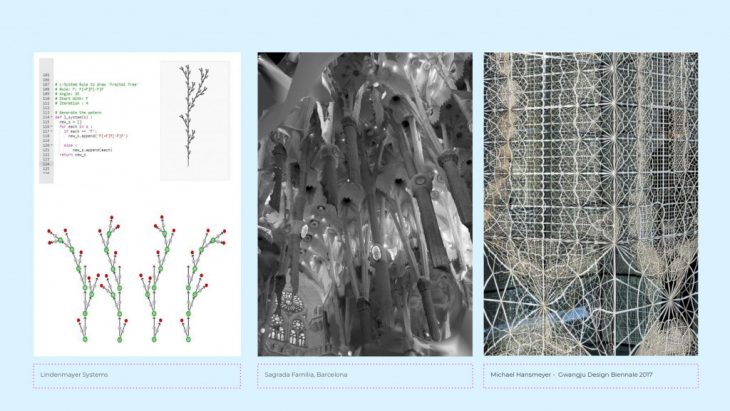 Divaricate - Exploring Algorithmic Branching – IAAC Blog