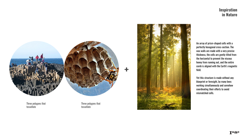 COMPLEX GEOMETRY SYSTEMS - HEXAGON AGGREGATIONS