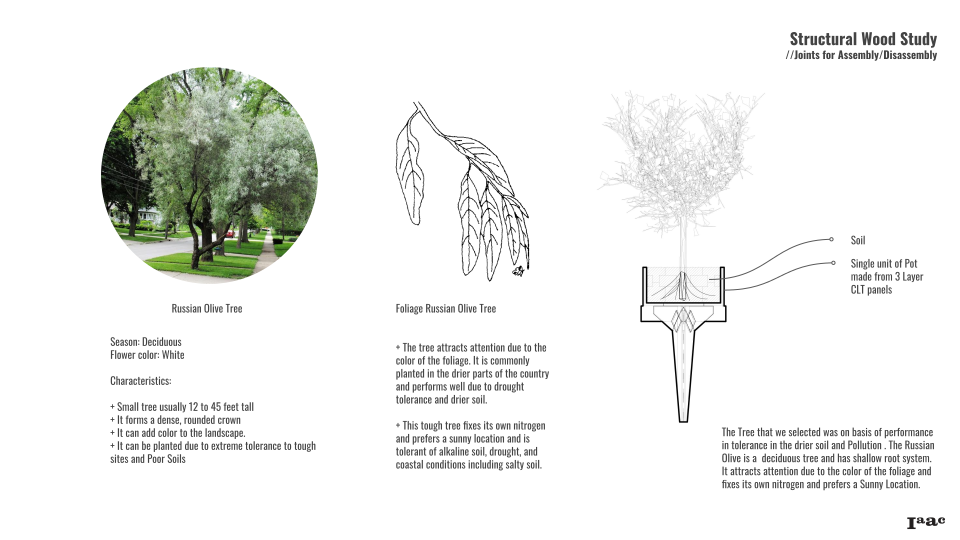 COMPLEX GEOMETRY SYSTEMS - HEXAGON AGGREGATIONS