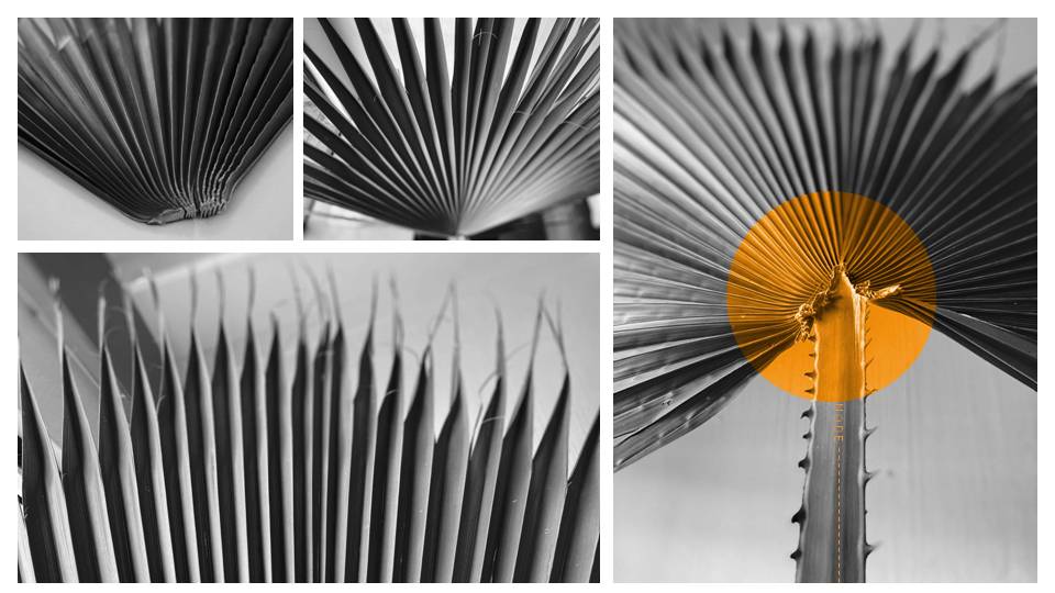 ORIK?Z?: from the natural inspiration to the parametrically optimized ...