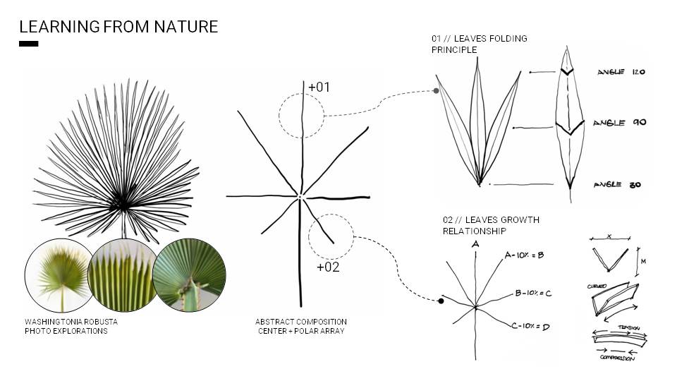 ORIK?Z?: from the natural inspiration to the parametrically optimized ...