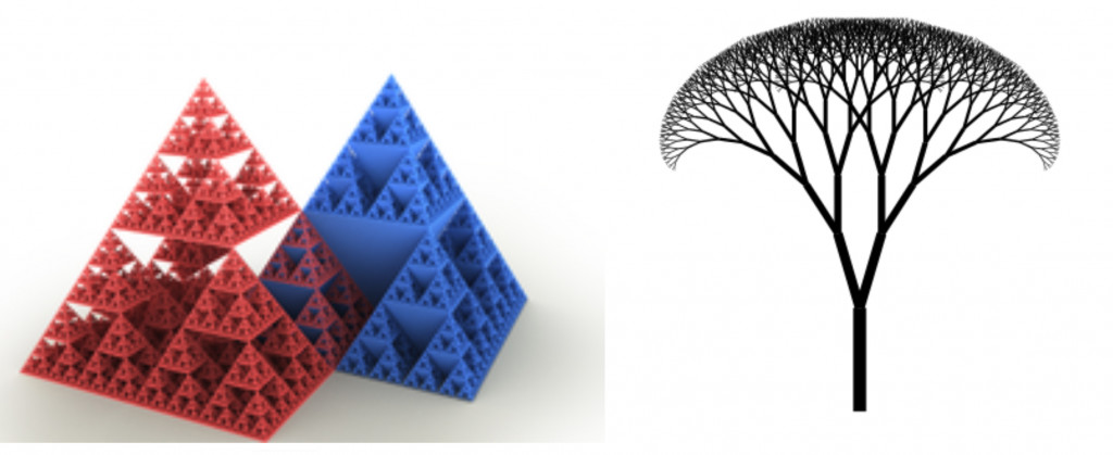 Algorithmic Emergence // Canopy // Liang Mayuqi // Computational Design