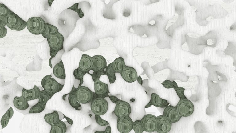 Bioreceptive Wall //Algorithmic Emergence – IAAC Blog