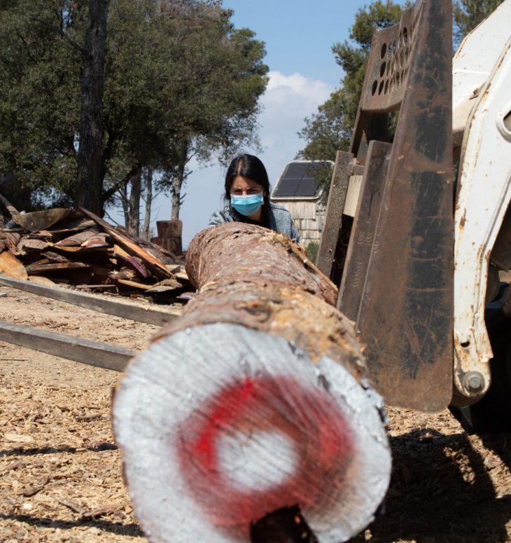 Timber preparation for the final project – IAAC Blog