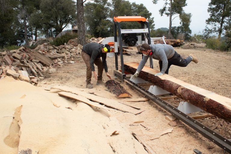 Timber preparation for the final project – IAAC Blog
