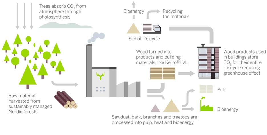Material Cycle For Wooden Urban Furniture //Circular Design – IAAC Blog