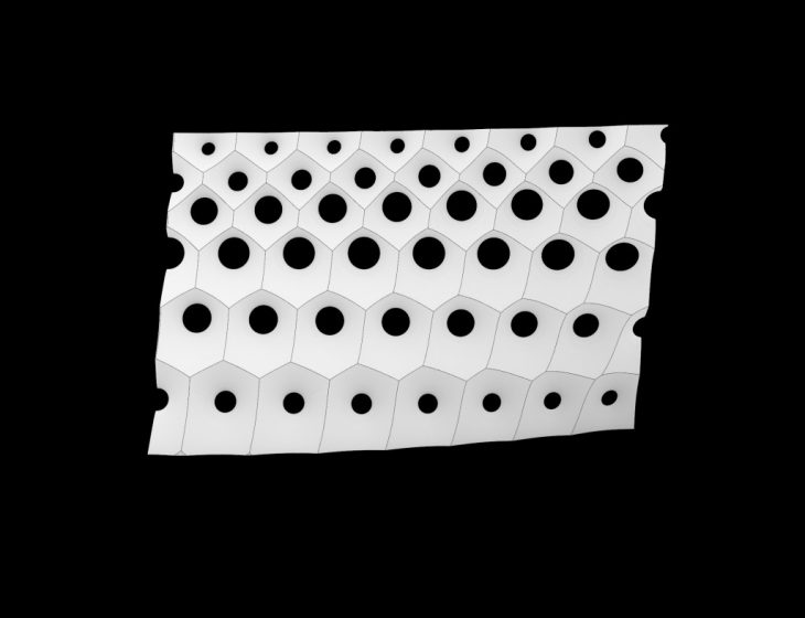 After Gaudi - Hyper_wall – IAAC Blog