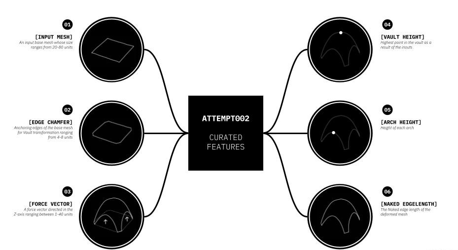 Translating Kangaroo Physics – IAAC Blog