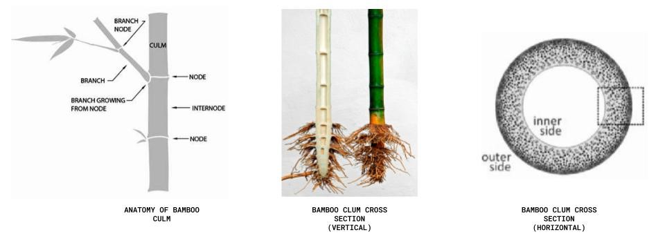 Advanced Bamboo Workflow - Towards Digital Bamboo – IAAC Blog