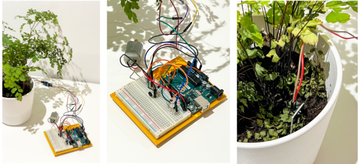 KEEPING IT ALIVE – IAAC Blog