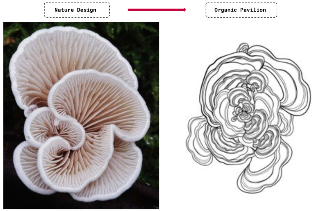 Structural Mycelium – IAAC Blog