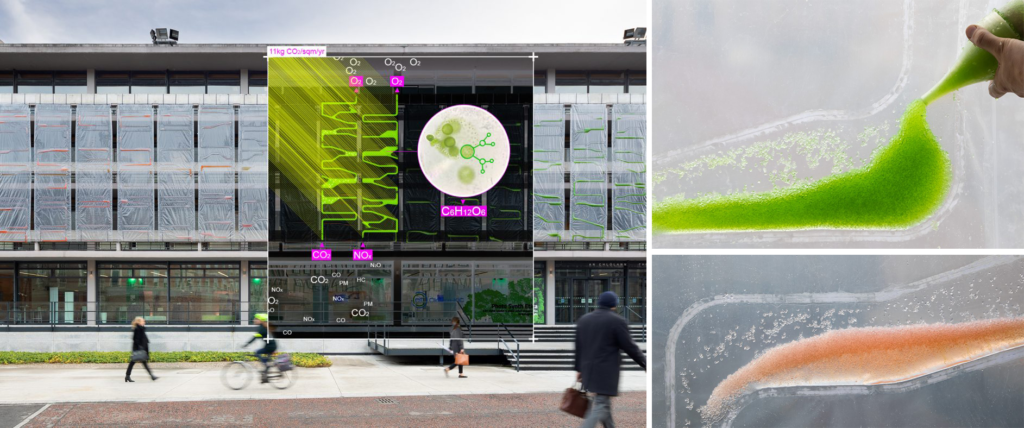 Algae-LED – IAAC Blog