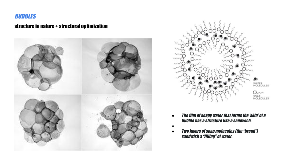 Bubble Root Pavilion – IAAC Blog