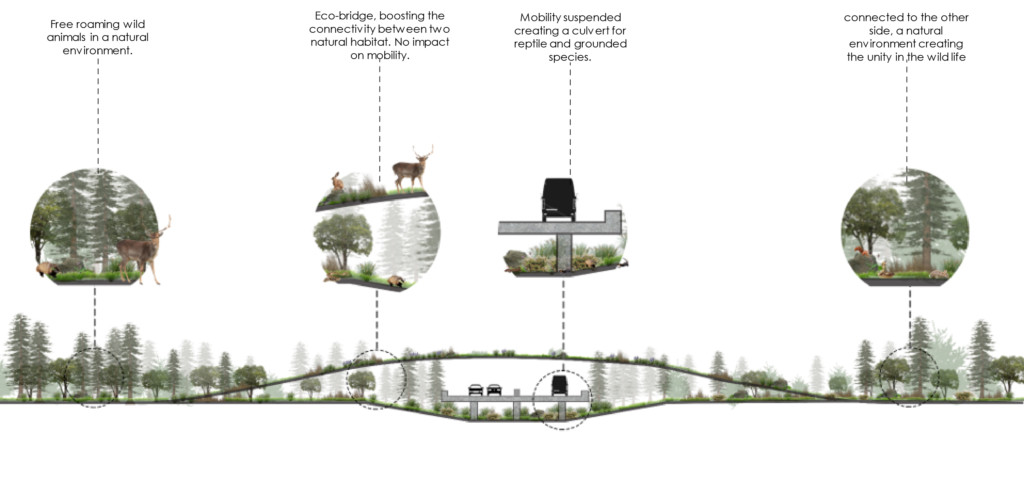 THE GREEN LINES – IAAC Blog