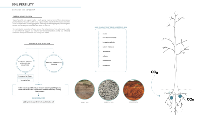 XERIC STRATIFICATIONS - C-BIOM.A THESIS STUDIO – IAAC Blog