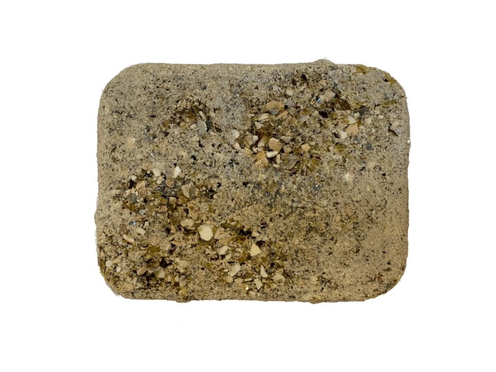 Seashells / Biocomposite material – IAAC Blog