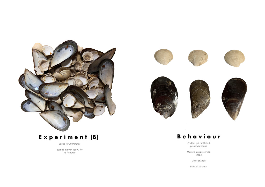 Seashells / Biocomposite material – IAAC Blog